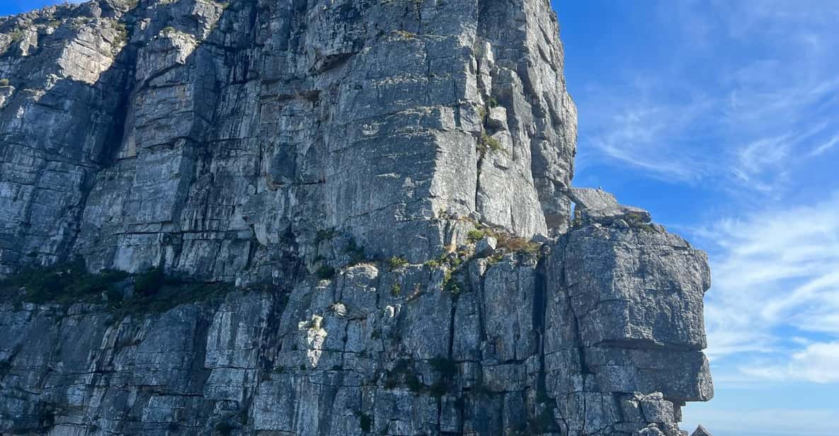 Halvdagsutflykt till Taffelberget med guide i Kapstaden | GetYourGuide