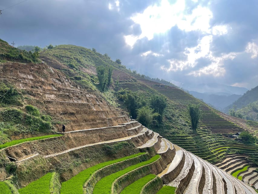 Sapa: Private The Most Beautiful Terraced Fields Trekking | GetYourGuide