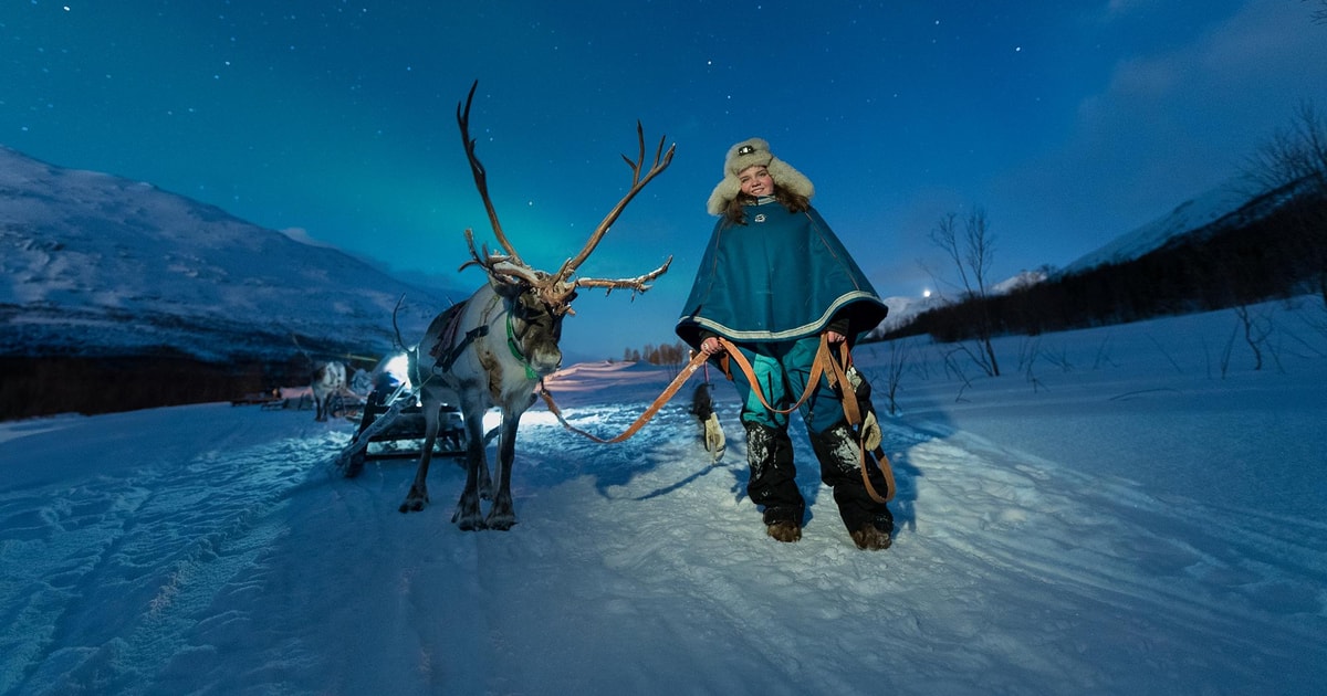Tromsø: Sami Culture, Northern Lights and Reindeer Feeding | GetYourGuide
