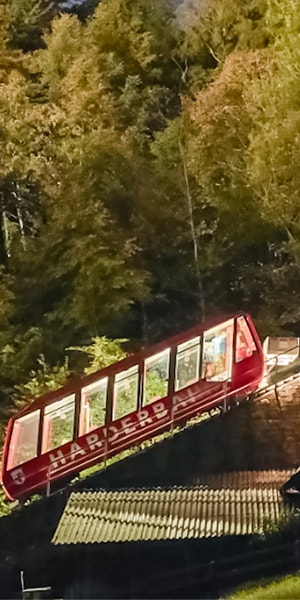 Interlaken: Funicular Ticket to Harder Kulm | GetYourGuide