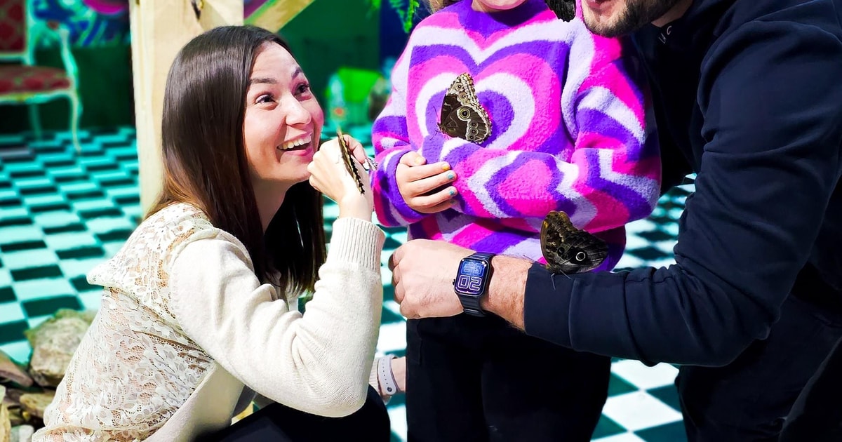 Krakau: Museum van levende vlinders 2+2 | GetYourGuide