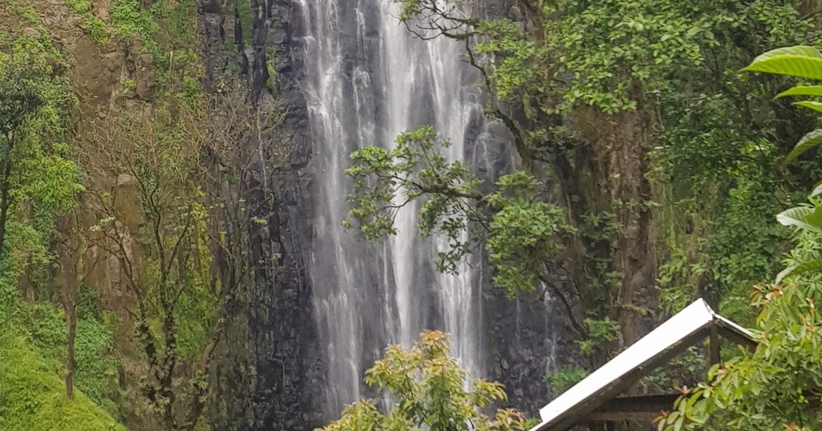 Materuni Waterfalls, Coffee, and Hotsprings Tour | GetYourGuide