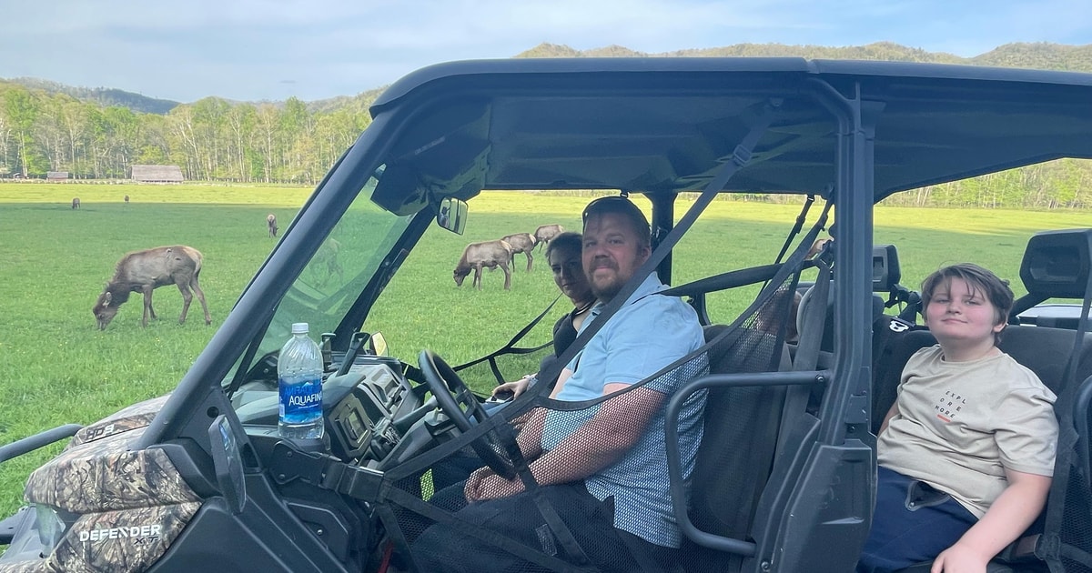 (3 HR.) Guided Off-Road UTV Wilderness Adventure | GetYourGuide