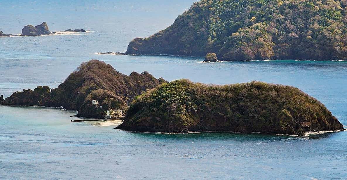 Tobago: Little Tobago Bird Sanctuary Visit and Boat Tour | GetYourGuide