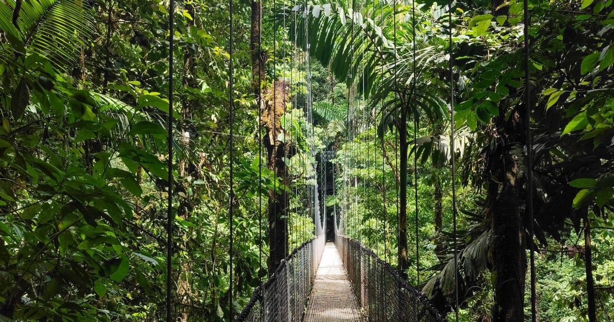 Mistico Suspension Bridges + Transport + French naturalist guide ...