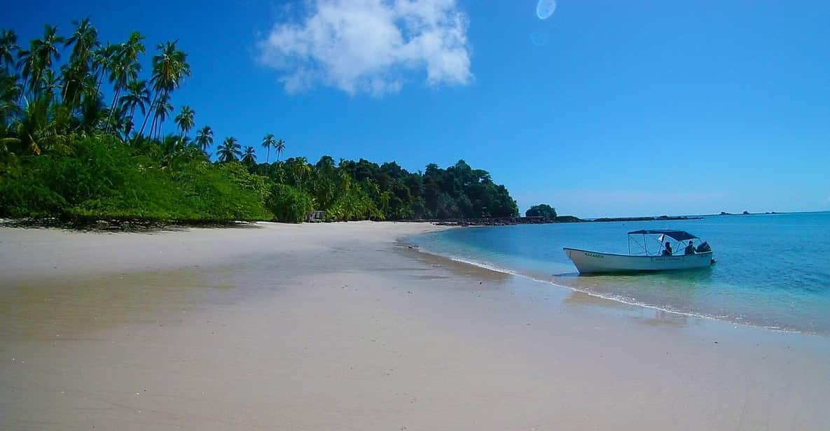 Saona Island Tour med frokost fra Santo Domingo | GetYourGuide