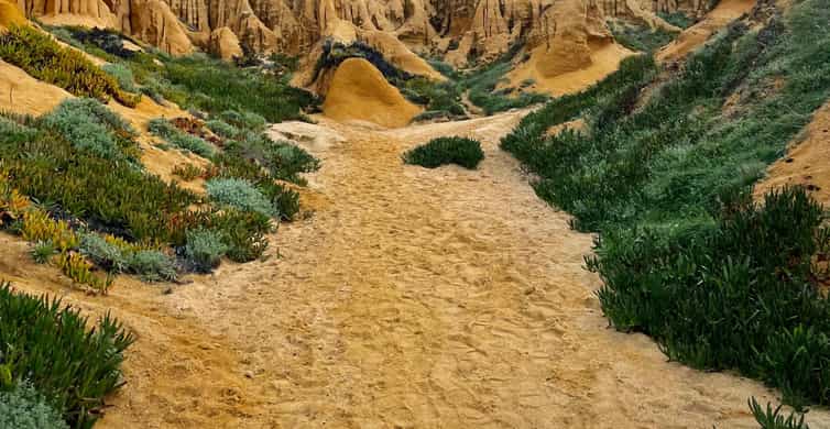 Lagoa de Melides, Melides - Book Tickets & Tours | GetYourGuide