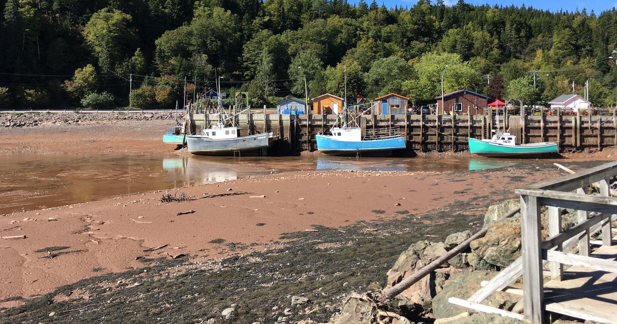 Ab Saint John: Bay of Fundy Busreise für Kreuzfahrtpassagiere ...