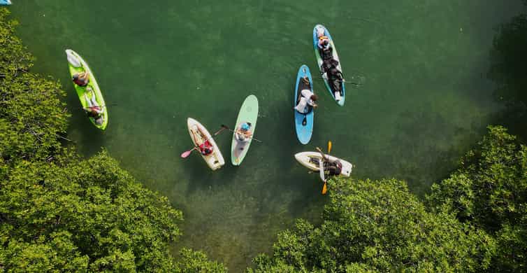 Cancun: Explore in a Kayak Guided Tour | GetYourGuide