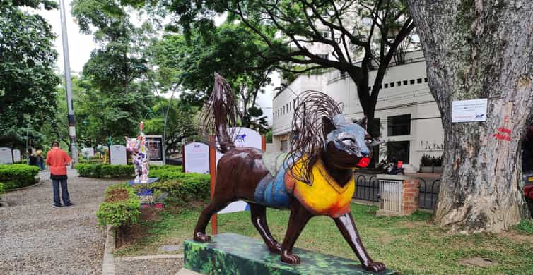 Recorrido a pie por el centro de Cali | GetYourGuide