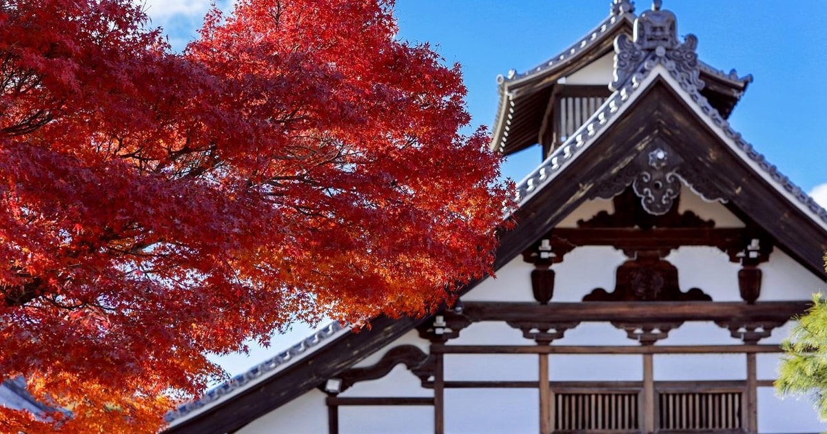 Kyoto Sanzenin Temple,Arashiyama day tour from Osaka/Kyoto | GetYourGuide