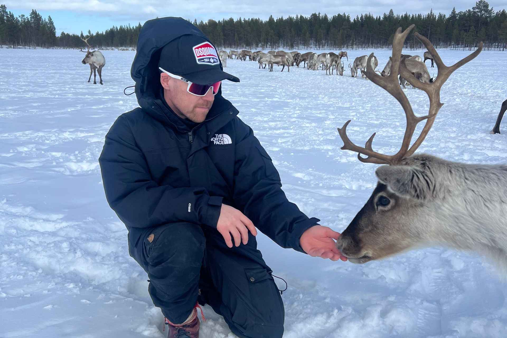 Kiruna: Reindeer Herder Tour with Sami Dinner and Transfers | Guide to ...