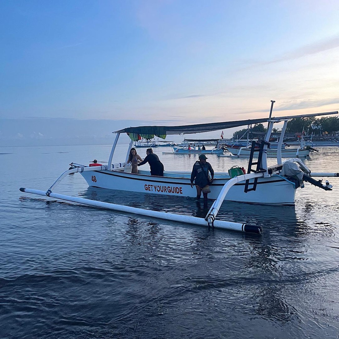 North Bali: Dolphin, Ulun Danu Temple, & Banyumala Waterfall | GetYourGuide