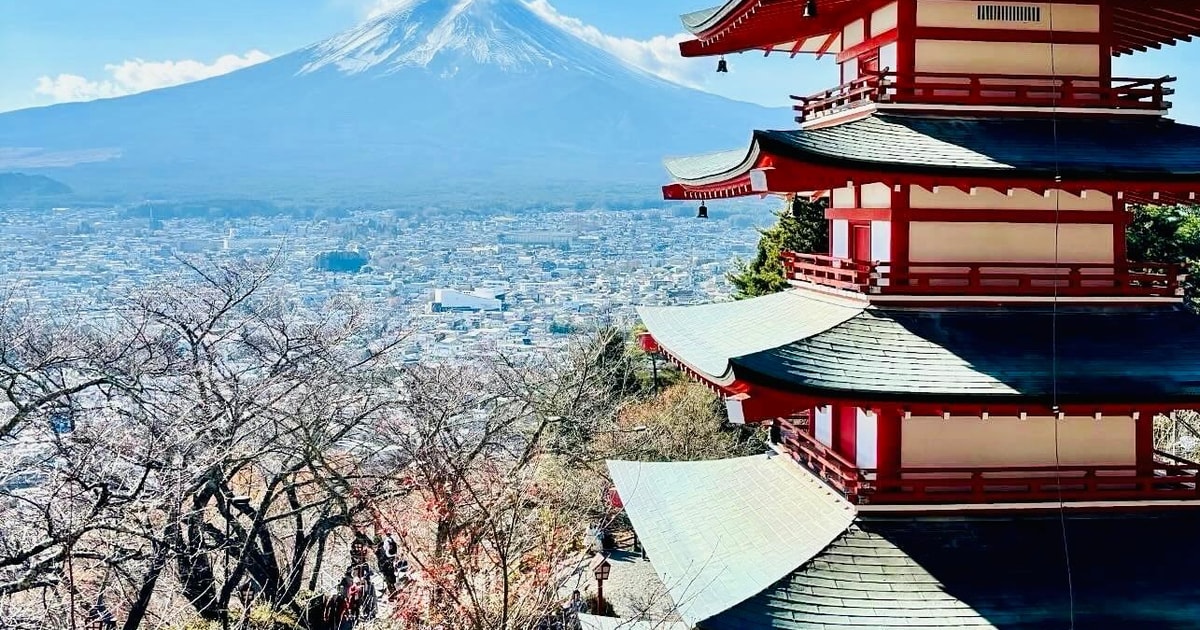 Desde Tokio: Excursión de un día en coche privado al Monte Fuji con guía | GetYourGuide
