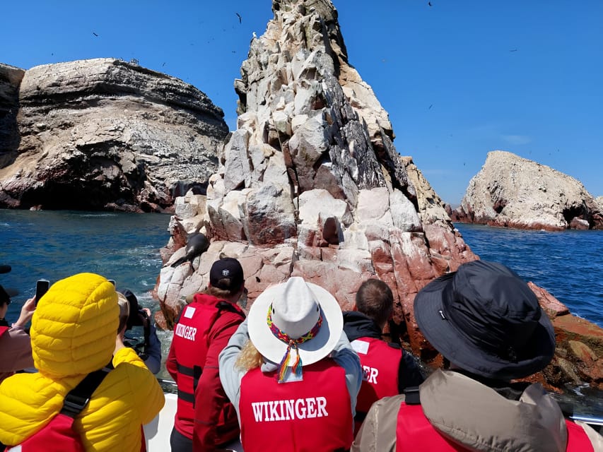 Day tour: Ballestas Islands & Paracas Natural Reserve | GetYourGuide