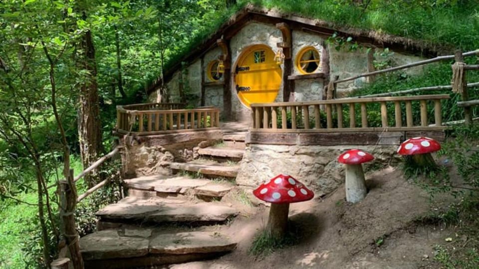 From Istanbul: Day Tour to Sapanca and Masukiye with Lunch | GetYourGuide