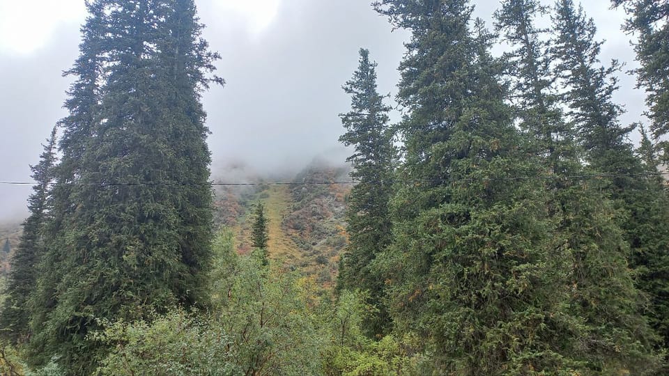 Bishkek City Tour and Ala-Archa National Park | GetYourGuide