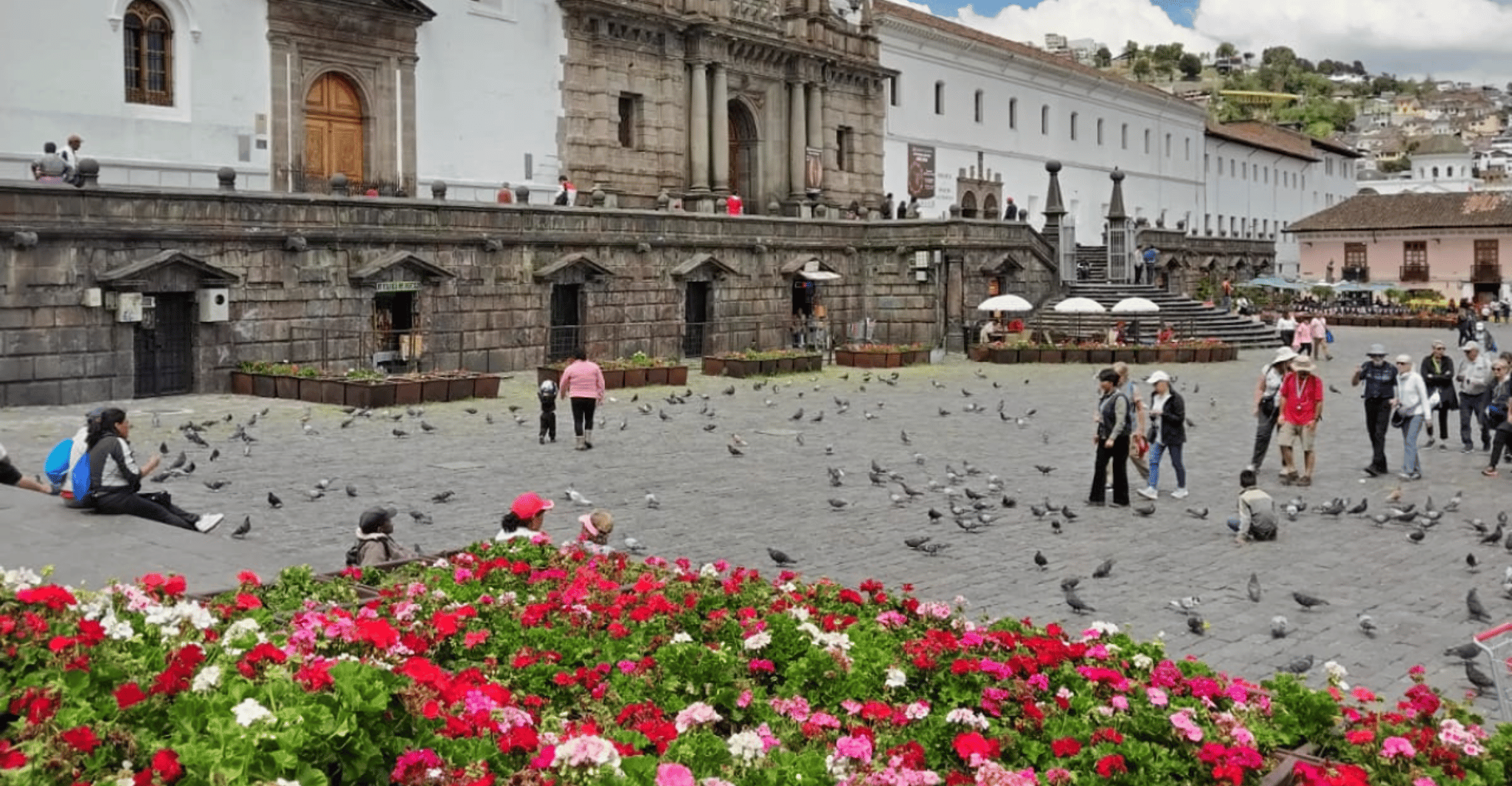 Quito, WalkingTour, gastronomy and museum. | Guided Tour in Quito