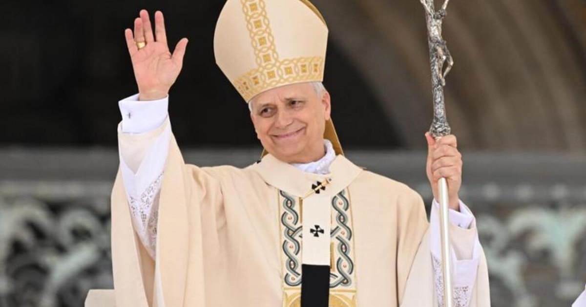Pave Leo XIV-audience med lokal guide | GetYourGuide