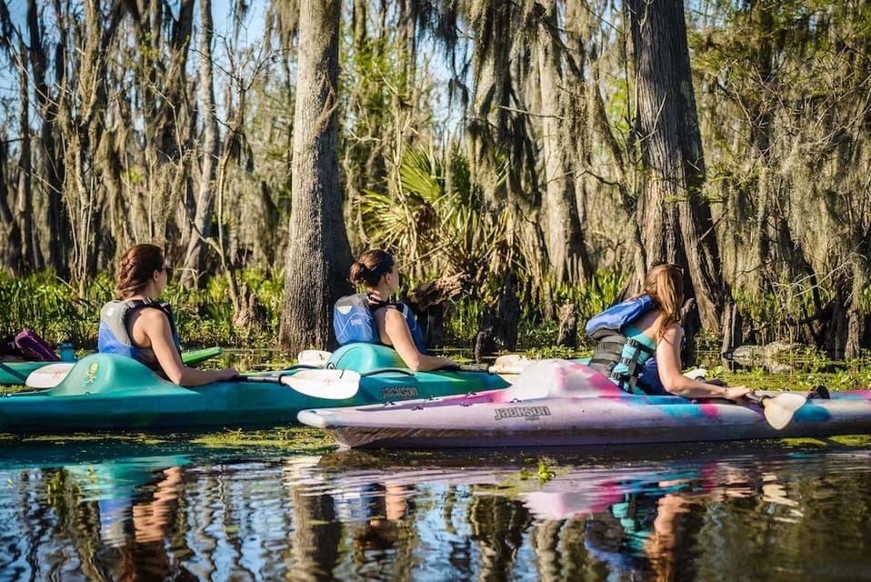 New Orleans: Manchac Magic Kayak Swamp Tour | GetYourGuide