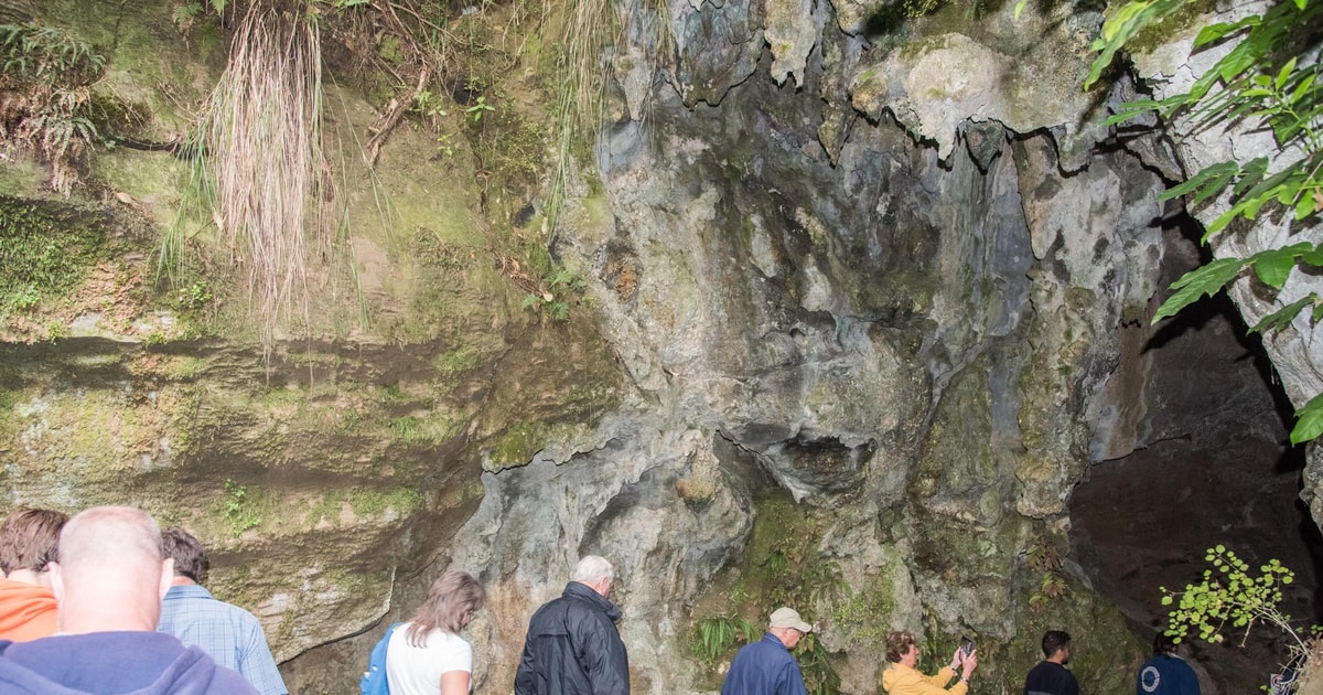 From Paihia: Kawiti Glowworm Caves Guided Tour | GetYourGuide