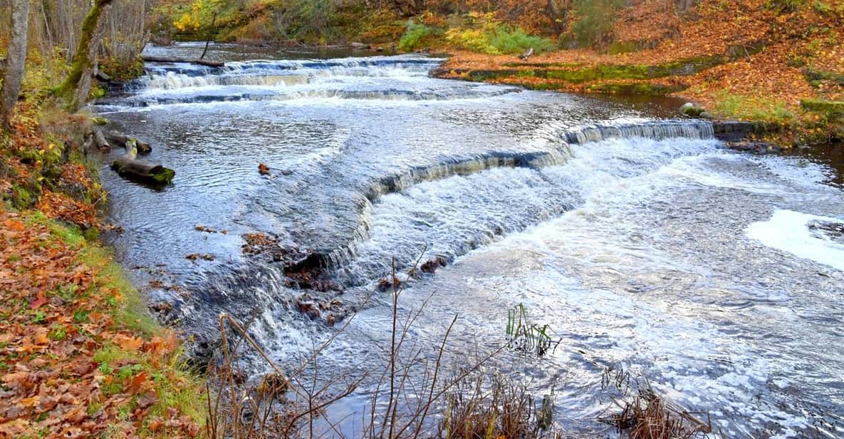 Upptäck Estland-tur till Lahemaa med vattenfall och natur. | GetYourGuide