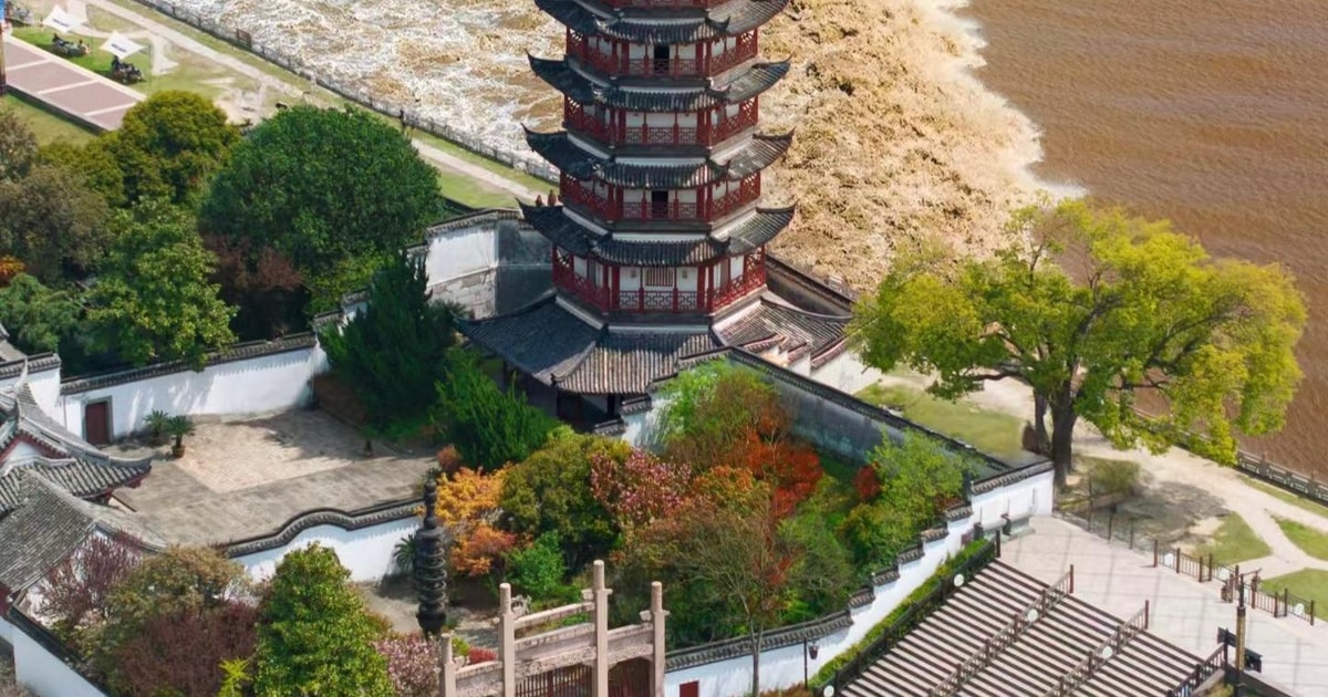 Hangzhou nach Haining: Gezeitenpark, Volksmuseum und Schattenspiel | GetYourGuide