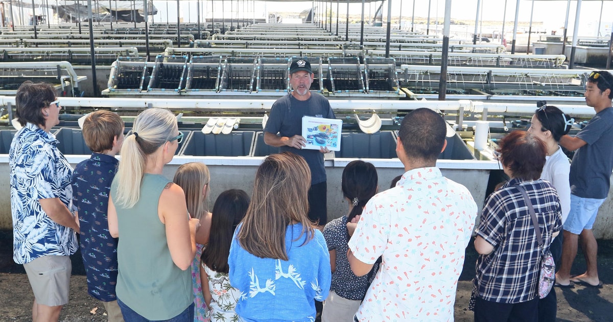 Big Island: Abalone Farm Guided Tour with Tasting | GetYourGuide