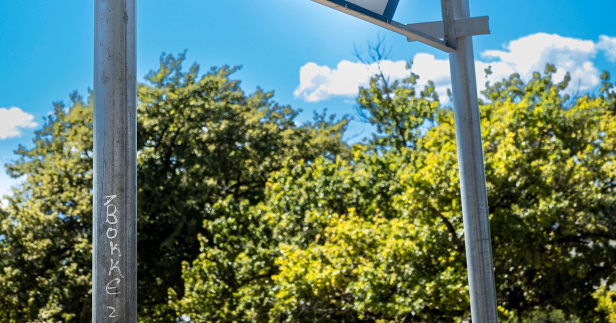 Stellenbosch: Dwarsrivier Walking, Cultural and History Tour | GetYourGuide