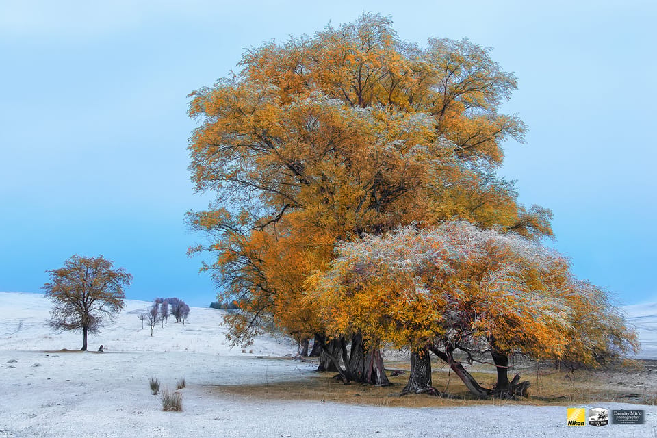 Altyn-Emel National Park UNESCO | GetYourGuide