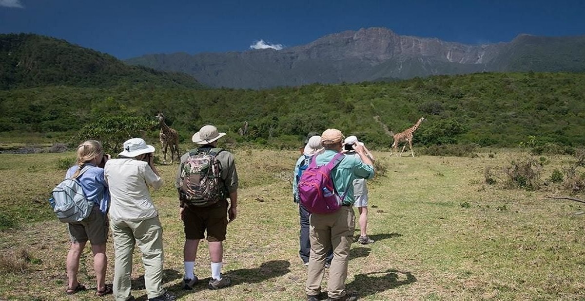 Excursión de un día al Parque Nacional de Arusha | GetYourGuide