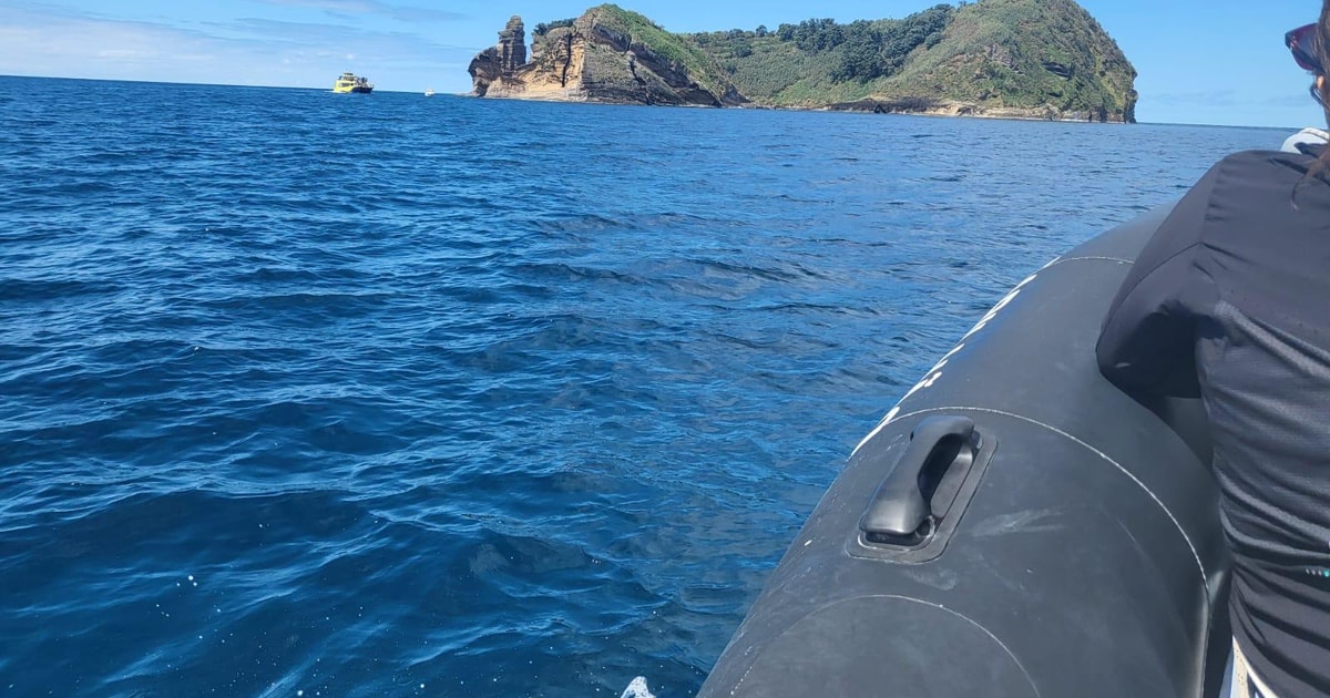 Islet Tour- Ilhéu de Vila Franca do Campo | GetYourGuide