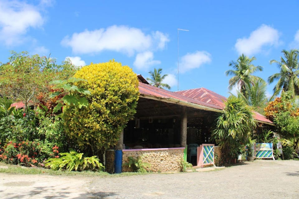 Samana: Buggy Adventure From Samana | GetYourGuide