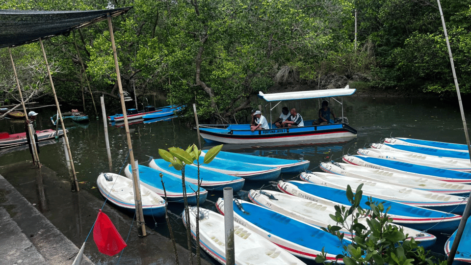 Bali: Mangrove Water Canoe with Toll and Airplane View | GetYourGuide