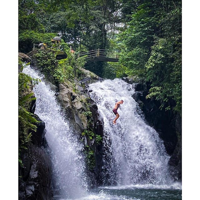 Bali: Lovina dolphin private tour & waterfalls fun activites | GetYourGuide