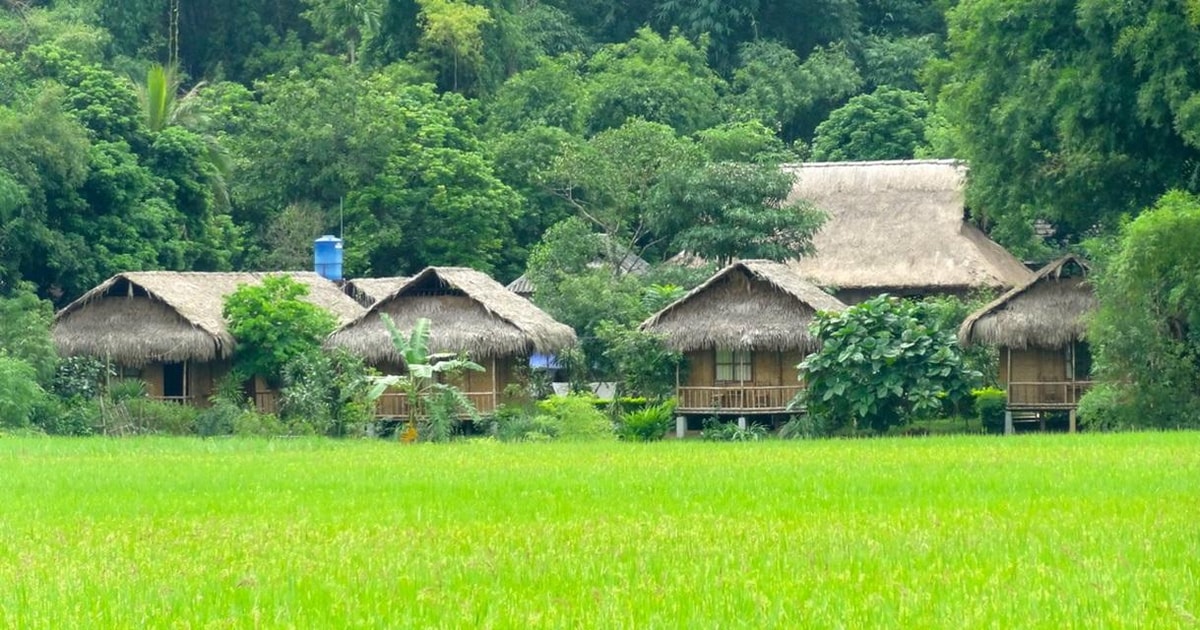 From Hanoi: Private tour Mai Chau Valley Day Trip | GetYourGuide