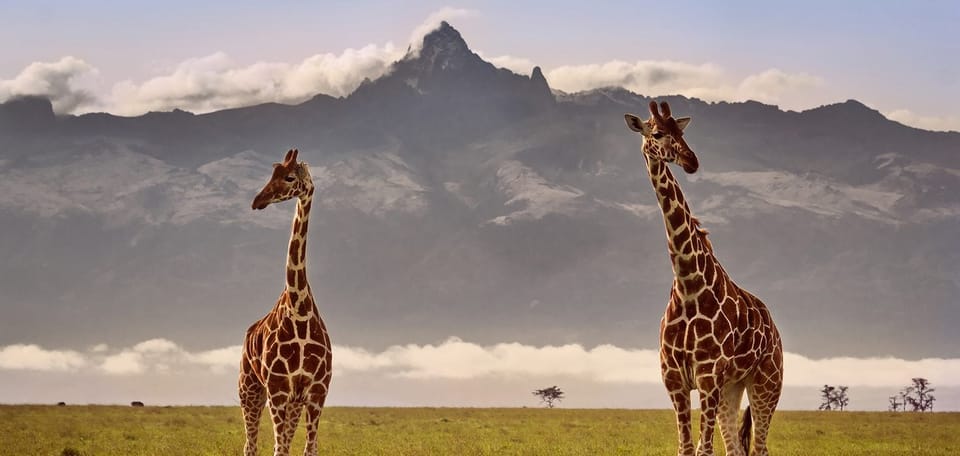 5 Days Mt Kenya Climb Sirimon Down Narumoru Route | GetYourGuide