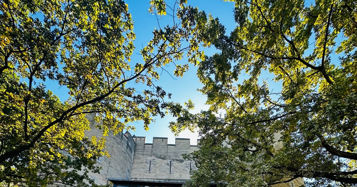 Discover Cologne`s Urban District EIGELSTEIN Walking Tour | GetYourGuide