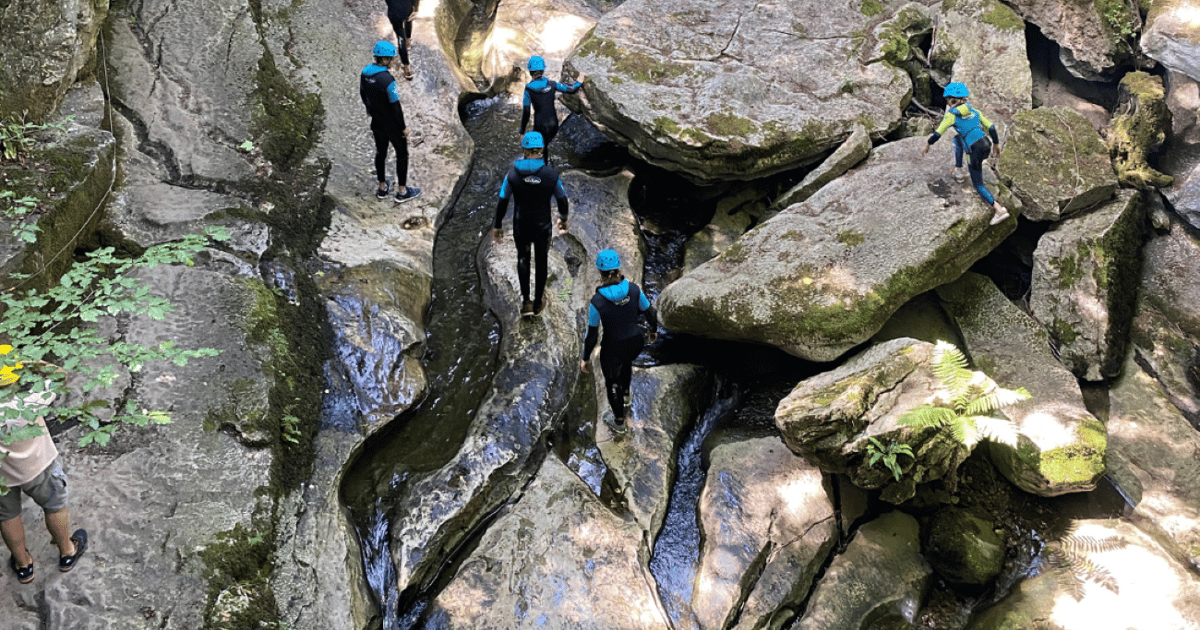 Harrogate: How Stean 3 in 1 Experience | GetYourGuide