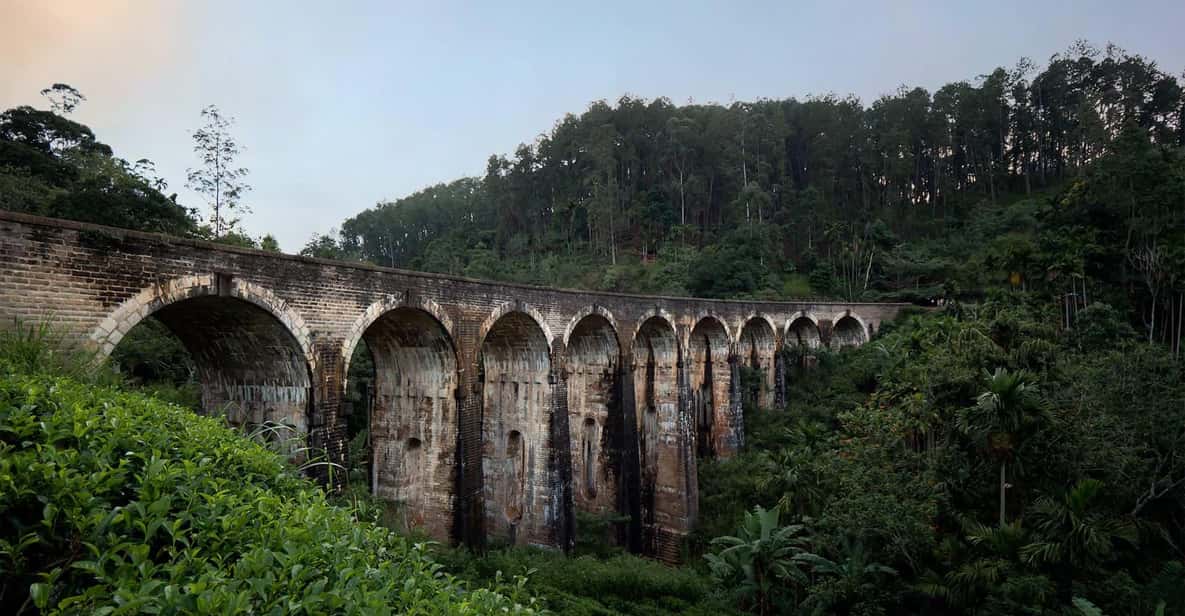 Ella Day Tour: with Tea Factory Visit from Galle | GetYourGuide