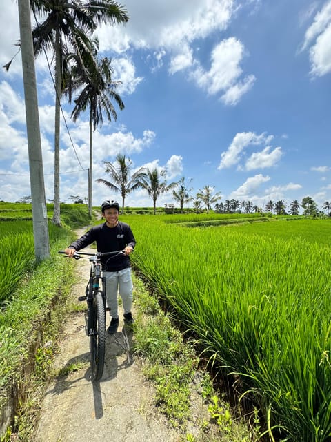 Ubud: Downhill Cycling with Volcano, Rice Terraces and Meal | GetYourGuide