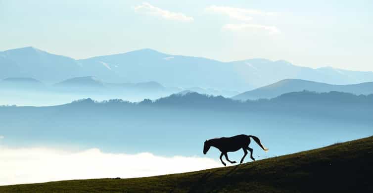 Dilijan and off roading to Dimats mnt | GetYourGuide