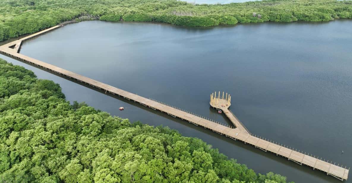 Barranquilla Unveiled: A Hidden Gem City Tour | GetYourGuide