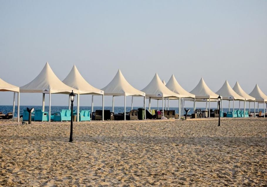 Doha: Private Full-day Safari with BBQ Dinner in Desert Camp | GetYourGuide