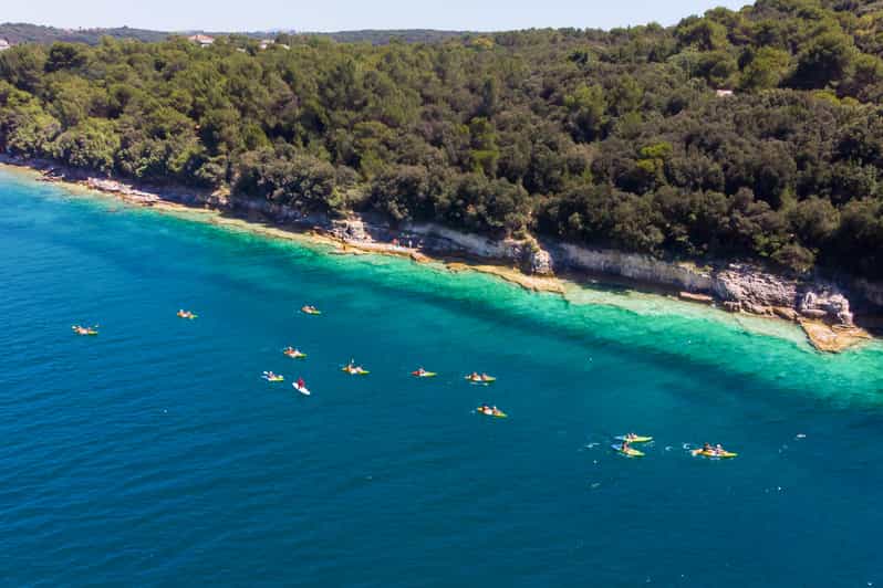 Pula: Half-Day Kayak, Cliff, and Cave Tour | GetYourGuide