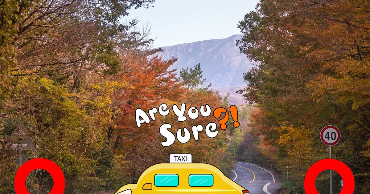 Jeju: BTS Weet je het zeker! Filmlocaties privétour met taxi | GetYourGuide