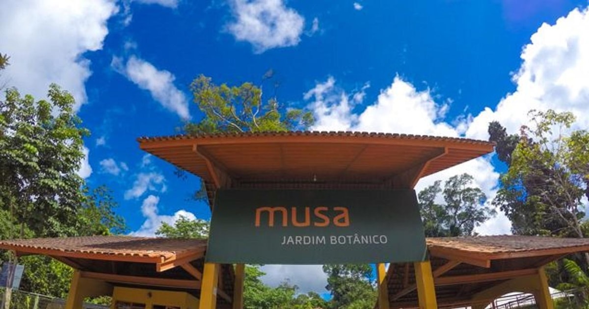 Manaus : Visite du MUSA (Musée de l'Amazonie) | GetYourGuide