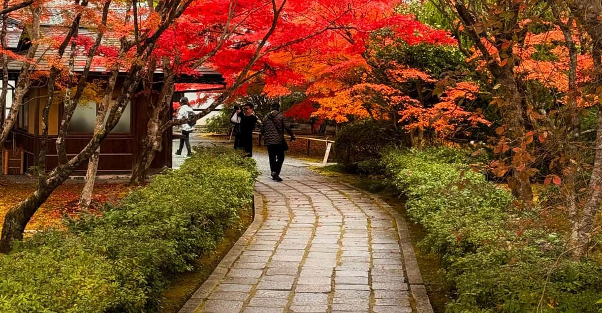 Kyoto: Fully customizable your own tour in the old capital | GetYourGuide