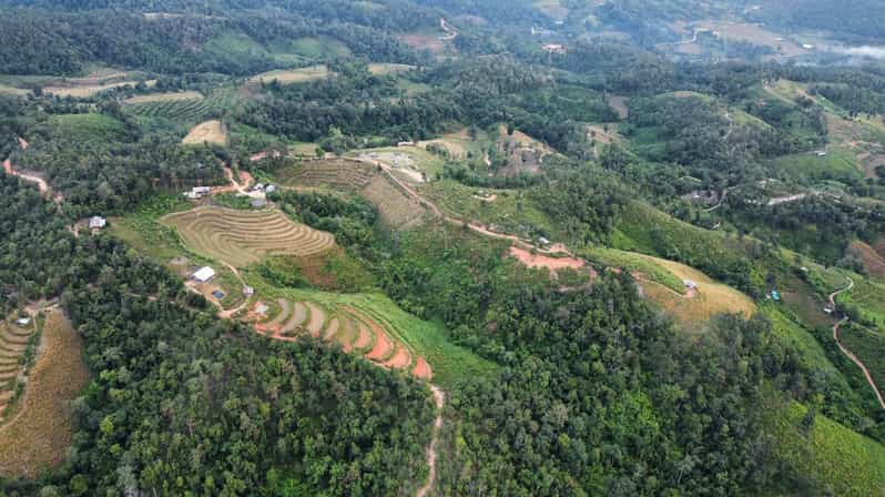 Chiang Mai: 2-Day Jungle Trek with Elephant Farm & Raft Ride | GetYourGuide