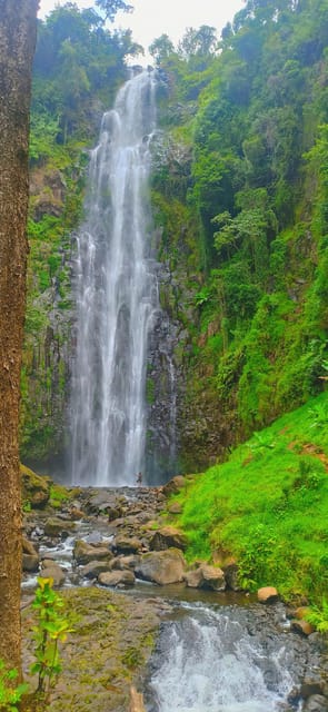 Materuni Waterfalls & Coffee Plantation Tour | GetYourGuide